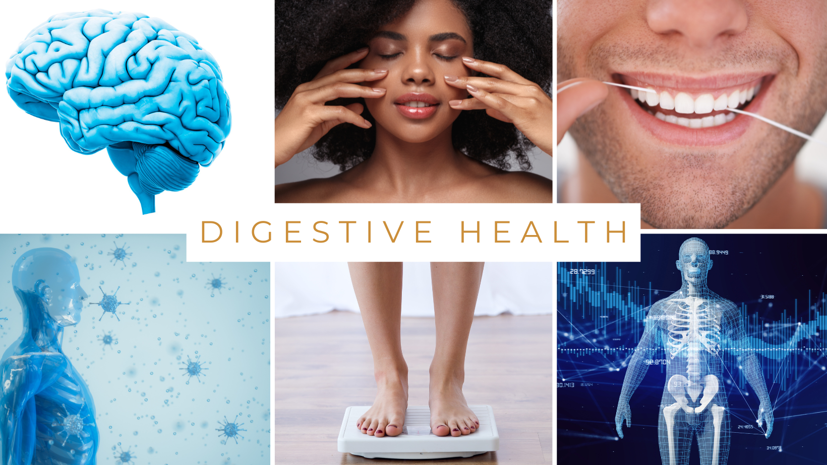 What Your “Second Brain” Reveals About Your Health - nutraMetrix Blog