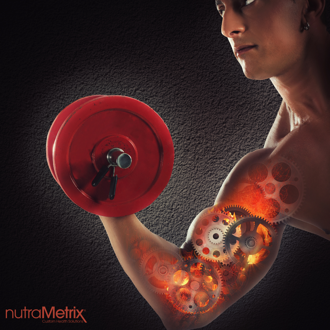 Muscle Function Unveiled: A Comprehensive Guide to Support and Recovery ...