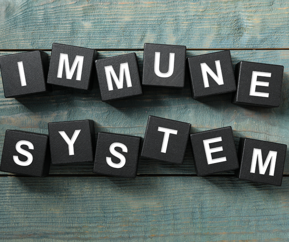 Support Your Immune System: Top Strategies for Lasting Health ...