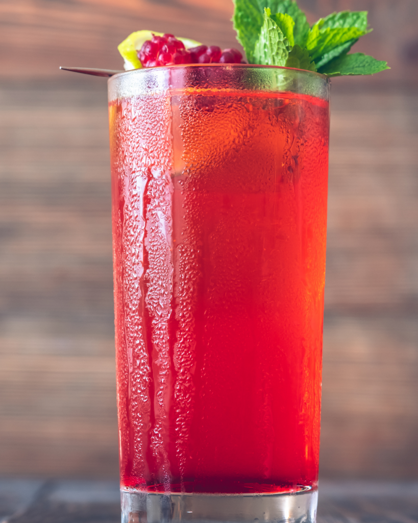 Cranberry Apple Fruit Fizz Recipe - nutraMetrix Blog